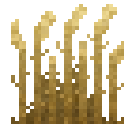 Rye Stages | SurvivalCraft Wiki | Fandom