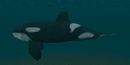 Orca | SurvivalCraft Wiki | Fandom