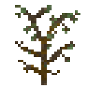 Large Dry Bush | SurvivalCraft Wiki | Fandom