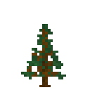 Spruce Sapling | SurvivalCraft Wiki | Fandom
