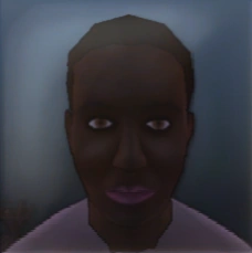 Phillis Davis | Survivalist Game Series Fandom | Fandom