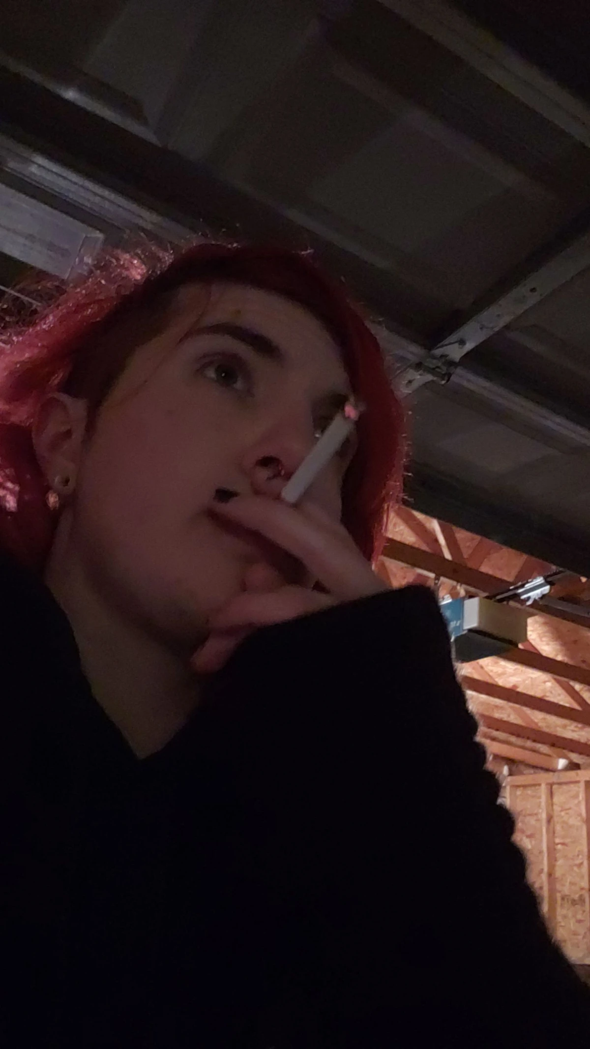 Rabbit 068 | Survive and Destroy the Trials Wiki | Fandom