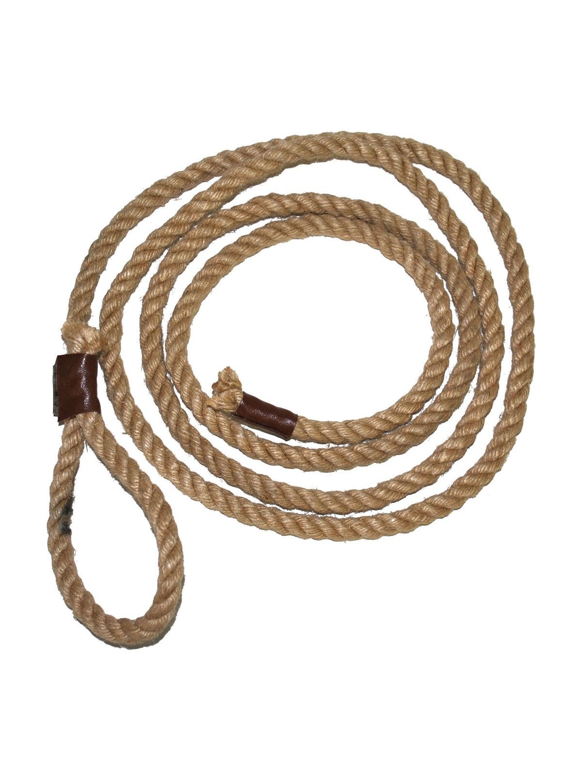 Lasso Survive The Disasters Fanon Wiki Fandom