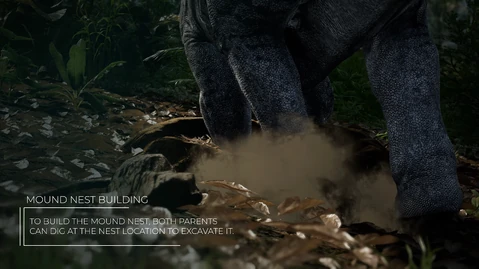 Nesting | Survive The Isle Wiki | Fandom