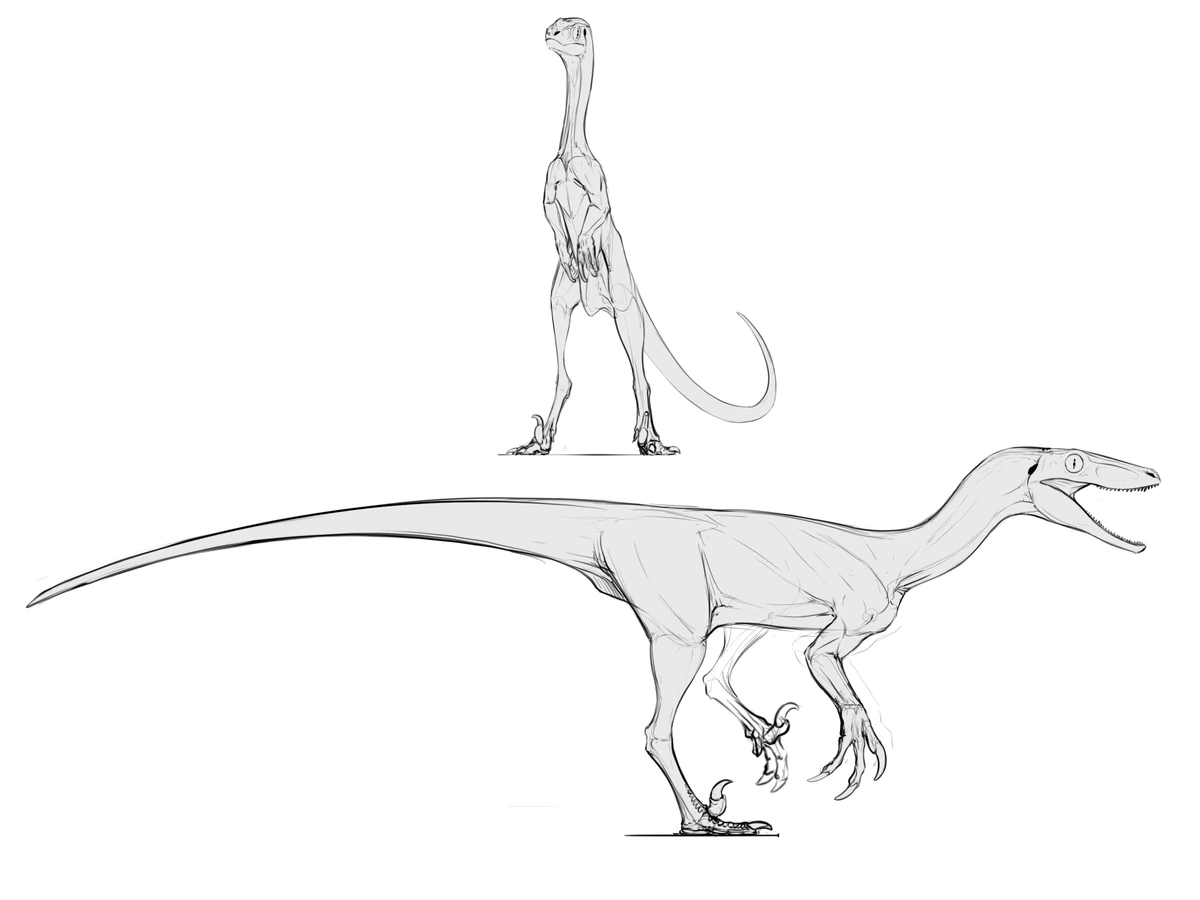 Troodon | Survive The Isle Wiki | Fandom