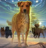 Pack Dogs | Survivor Dogs Wiki | Fandom