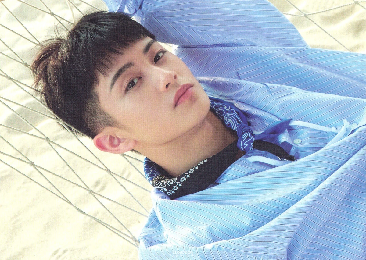 Mark Lee | Survivor Idol Wiki | Fandom