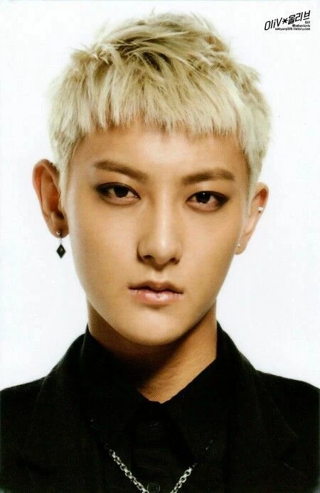 Tao Huang | Survivor Idol Wiki | Fandom