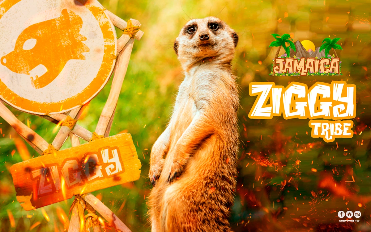 Ziggy | Wiki Survivor TW | Fandom