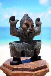 Immunity Idol/International | Survivor Wiki | Fandom