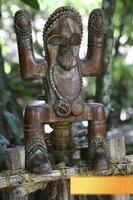 Immunity Idol/International | Survivor Wiki | Fandom