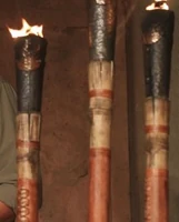 Torch/International | Survivor Wiki | Fandom