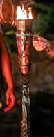 Torch/International | Survivor Wiki | Fandom