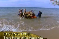 Pagong | Survivor Wiki | Fandom