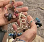 Hidden Immunity Idol | Survivor Wiki | Fandom