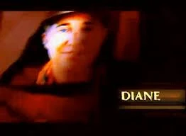 Diane Ogden/Gallery | Survivor Wiki | Fandom