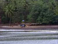 Rotu | Survivor Wiki | Fandom