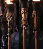 Torch | Survivor Wiki | Fandom
