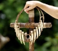 Immunity Necklace/International | Survivor Wiki | Fandom