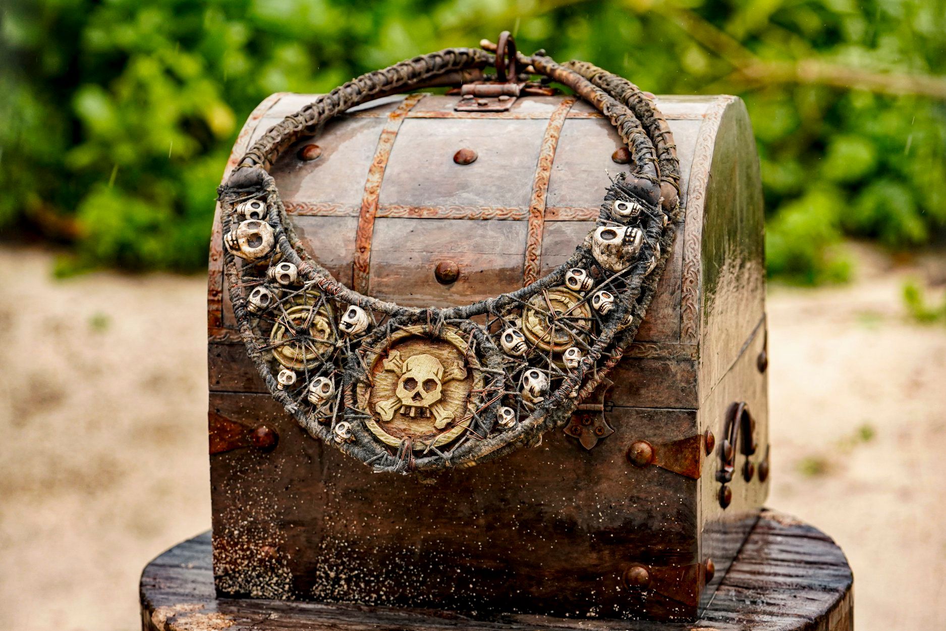 Immunity Necklace | Survivor Wiki | Fandom