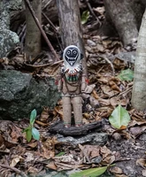 Immunity Idol | Survivor Wiki | Fandom