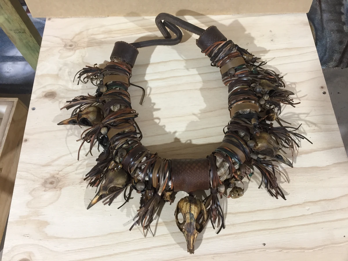 Immunity Necklace/International | Survivor Wiki | Fandom