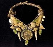 Immunity Necklace | Survivor Wiki | Fandom