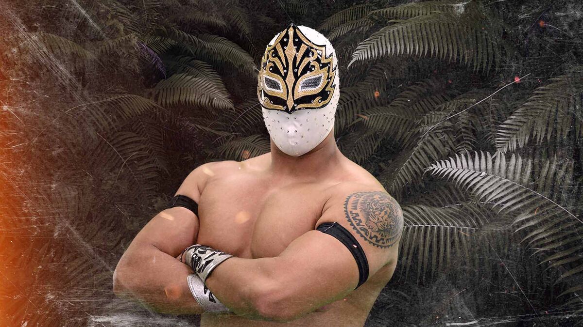 Tigre Blanco Survivor Wiki Fandom