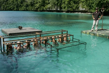 Exile Island | Survivor Wiki | Fandom