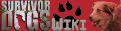 Survivordogs wiki | Fandom