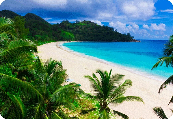 Falling Kingdom | Survivor Fanon Wiki | Fandom