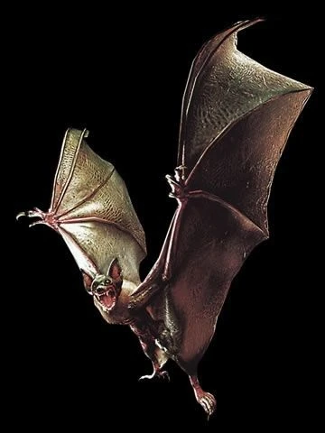 Infected Bat | Survivor Horror of Resident Evil & Silent Hill Wiki | Fandom