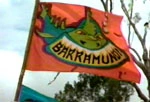 Barramundi | SurvivorRandomFanfic Wiki | Fandom