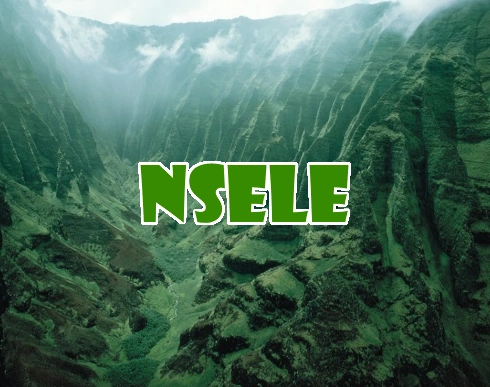 Nsele | Survivor's Survivor Wiki | Fandom