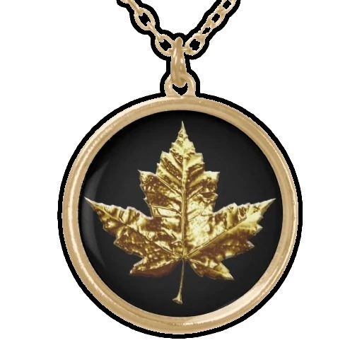 Hidden Immunity Idol | Survivor's Survivor Wiki | Fandom