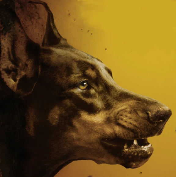 Blade | Survivor Dogs Wiki | Fandom