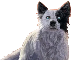 Moon | Survivors by Erin Hunter Wiki | Fandom