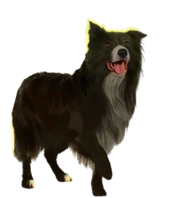 Mickey | Survivors by Erin Hunter Wiki | Fandom