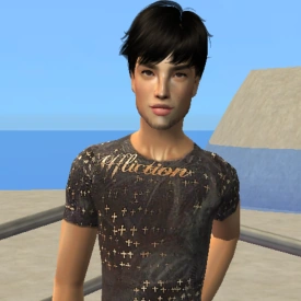 Ethan Garden | Sims Vision Universe Wiki | Fandom