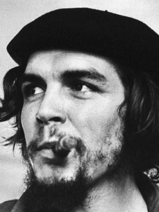 Guevara | Wiki SurvivorVD | Fandom