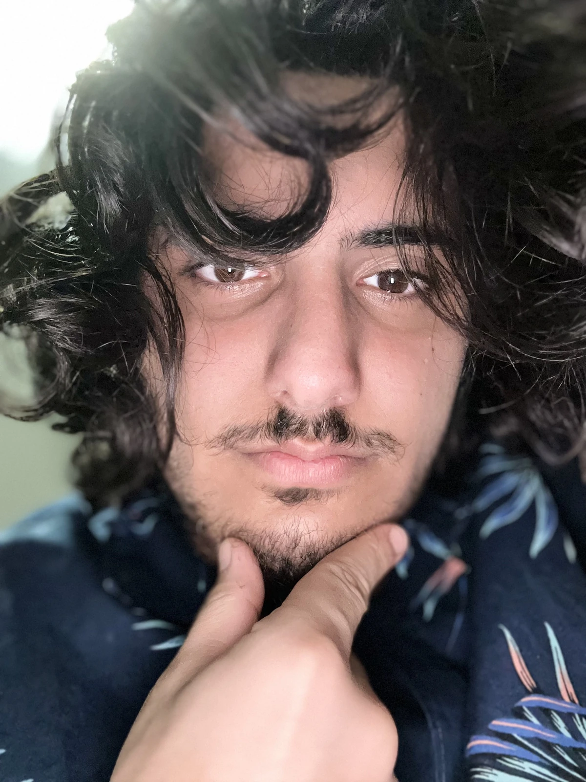 Chip clip | Sussy links Wiki | Fandom