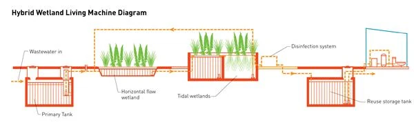 Constructed Wetland Wastewater Treatment Systems | Sustainable Water ...