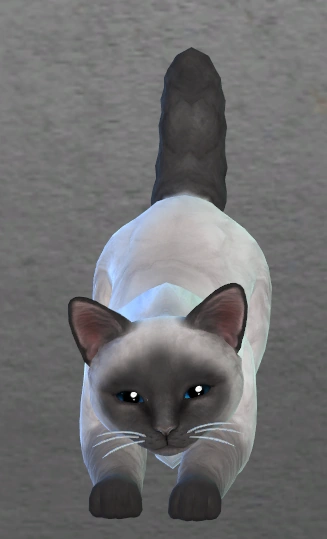 Casper | Suzi sims Wiki | Fandom