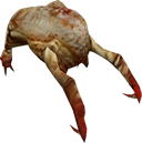 Headcrab | Sven Co-opedia Wiki | Fandom