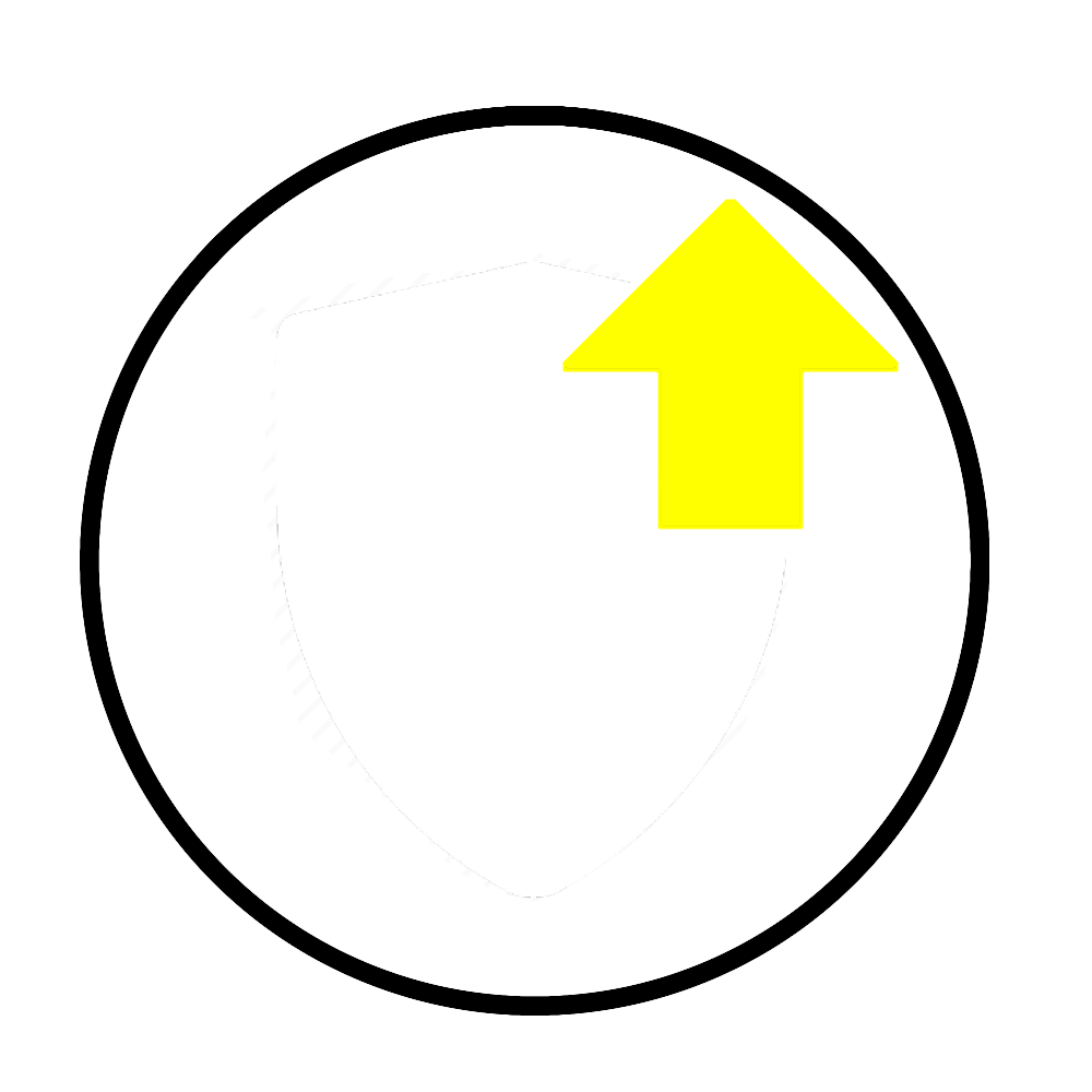 Effects/buffs, debuffs | Svirtage Wiki | Fandom