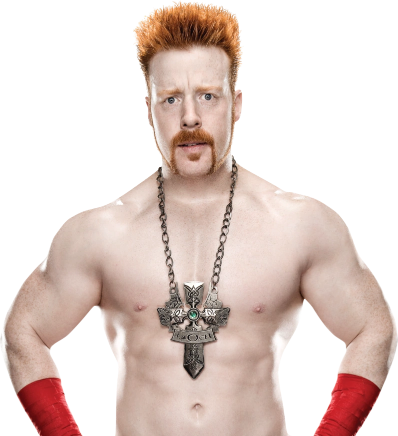 Wwe Sheamus World Heavyweight Champion Wallpaper