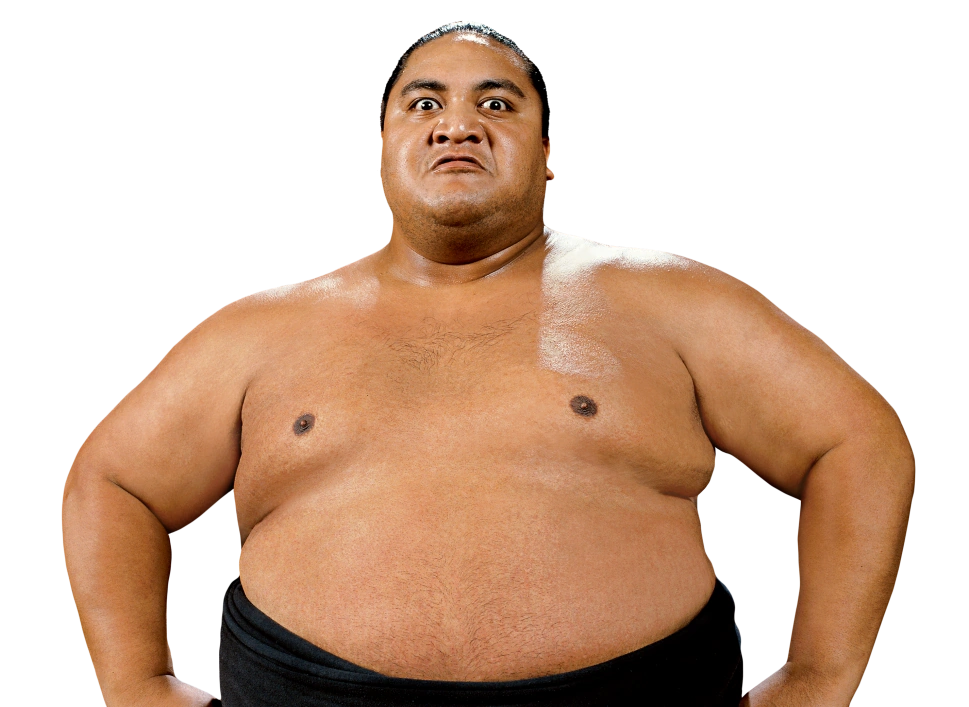 Yokozuna | SvR06 Wiki | Fandom
