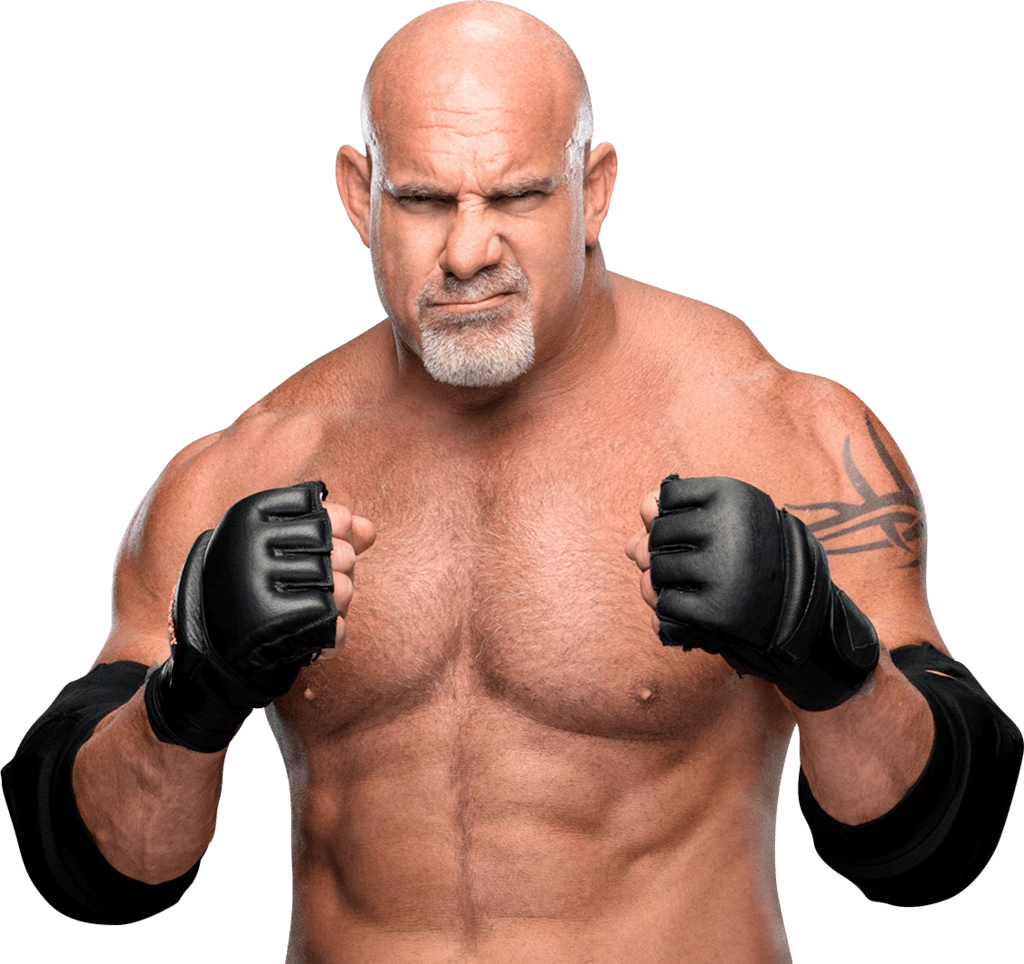 Goldberg | SvR06 Wiki | Fandom
