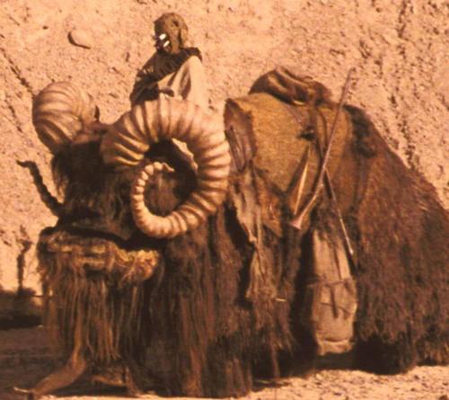 Bantha | SW Wildlife Wiki | Fandom