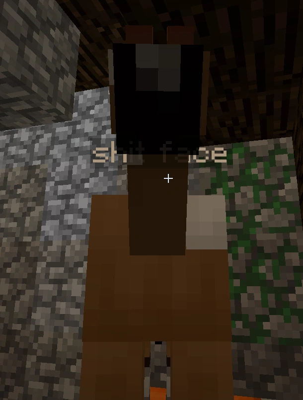 Shitface | SwagSMP (2020) Wiki | Fandom